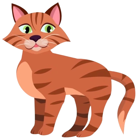 Cat | Smile and Learn Wiki | Fandom