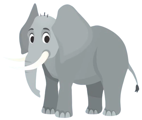 Elephant | Smile and Learn Wiki | Fandom