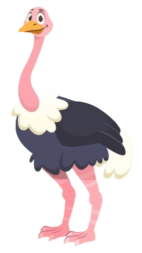 Ostrich | Smile and Learn Wiki | Fandom