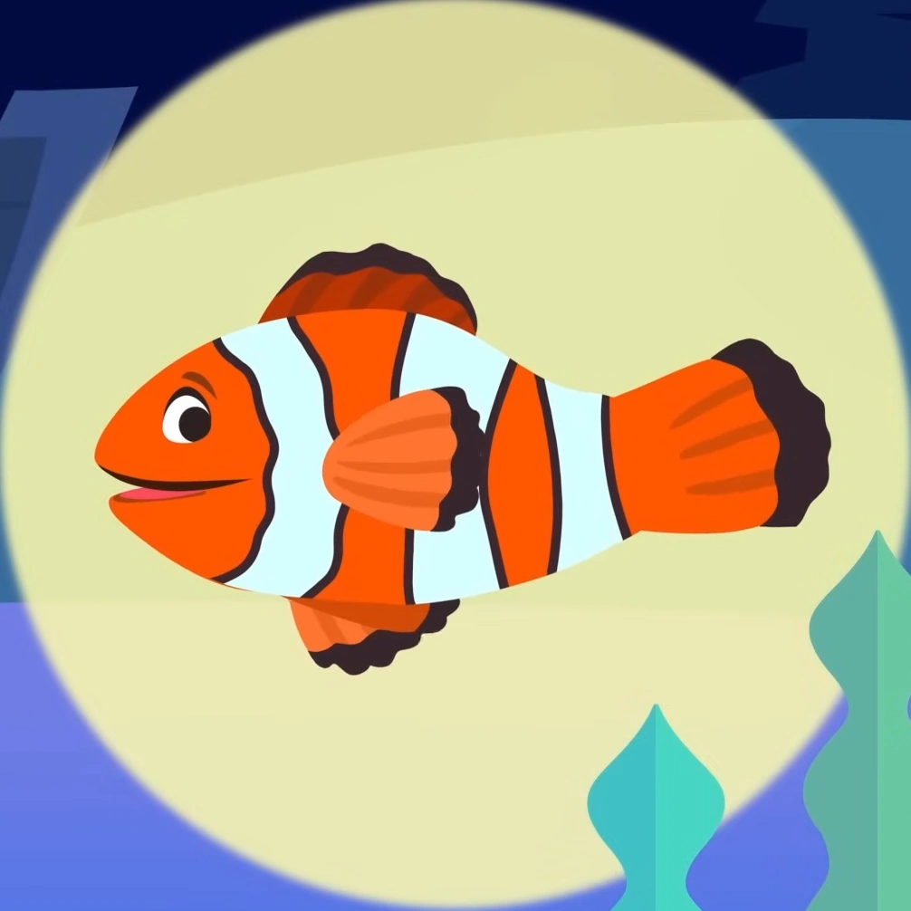 Clownfish | Smile and Learn Wiki | Fandom