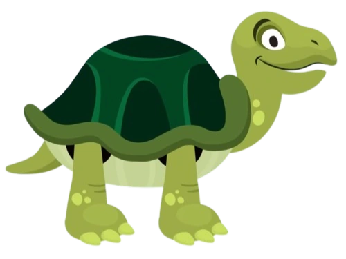 Turtle | Smile and Learn Wiki | Fandom