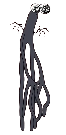 Jeremy | Smiling Friends Wiki | Fandom