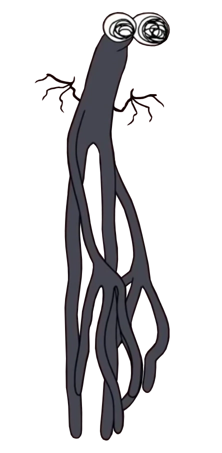 Jeremy | Smiling Friends Wiki | Fandom