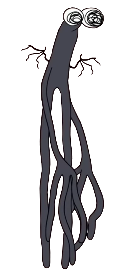 Jeremy | Smiling Friends Wiki | Fandom