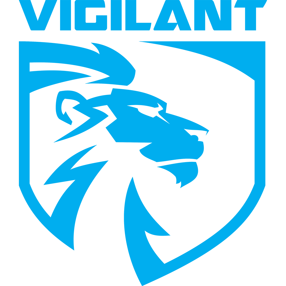 Team Vigilant - SMITE Esports Wiki