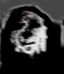 Silhouette | SML Wiki | Fandom