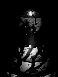 Ortygius | SML Wiki | Fandom