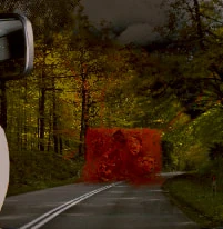 Meat Wall | SML Wiki | Fandom