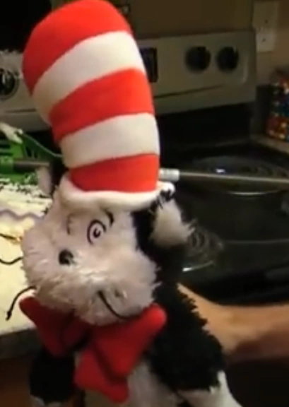 Cat in the Hat | SML Villains Wiki | Fandom