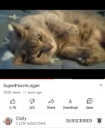 Precious | SML Wiki | Fandom