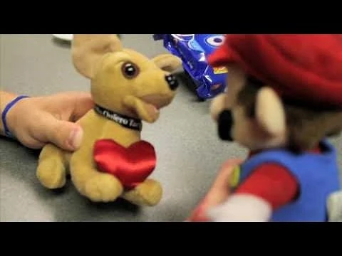 Category:2010 | SML Wiki | Fandom