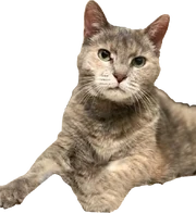 Precious | SML Wiki | Fandom