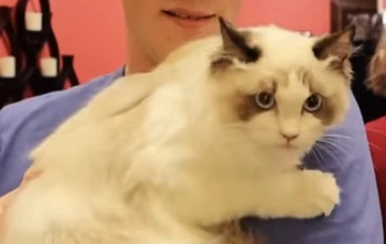 Mrs. Bigglesworth | SML Wiki | Fandom