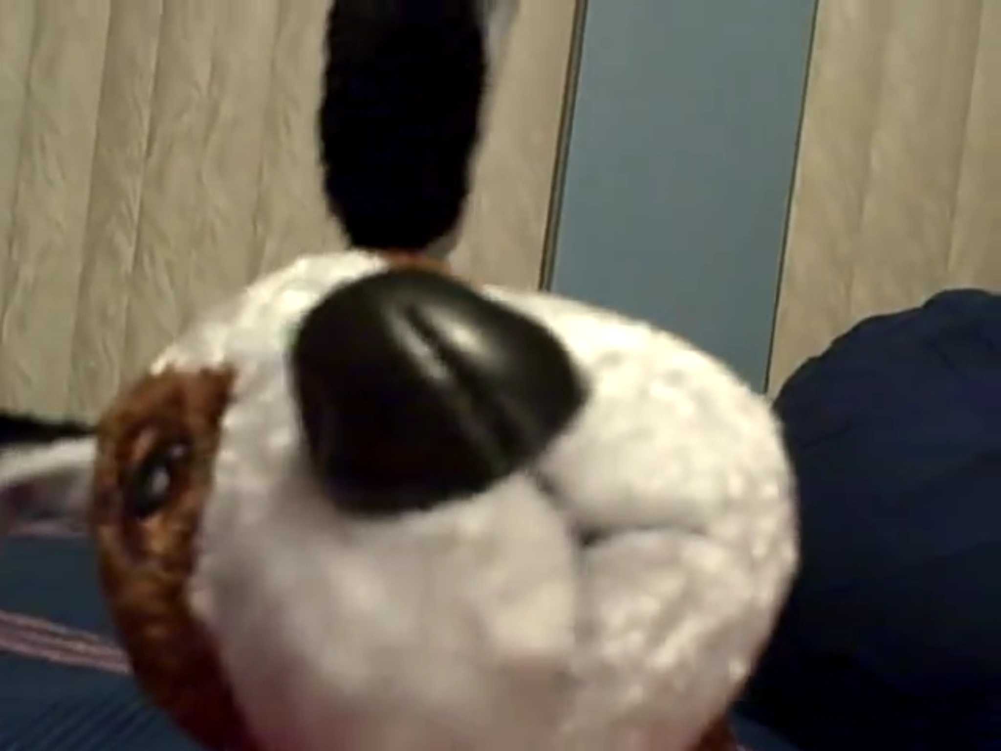 Discuss Everything About SML Wiki | Fandom