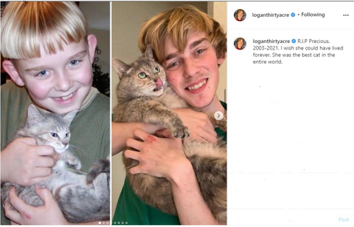 SuperMarioLogan Wiki | Fandom