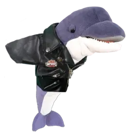 Loan Dolphin | SML Wiki | Fandom