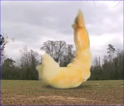 Shrimpo | SML Wiki | Fandom