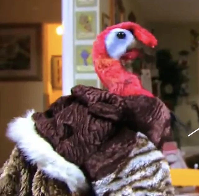 Turkey | SML Wiki | Fandom