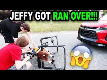 Jeffy Gets Ran Over! | SML Wiki | Fandom