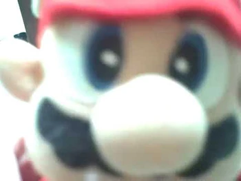 SuperMarioLogan's Cats | SML Wiki | Fandom