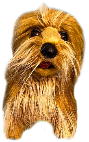 Prince Charles | SML Wiki | Fandom