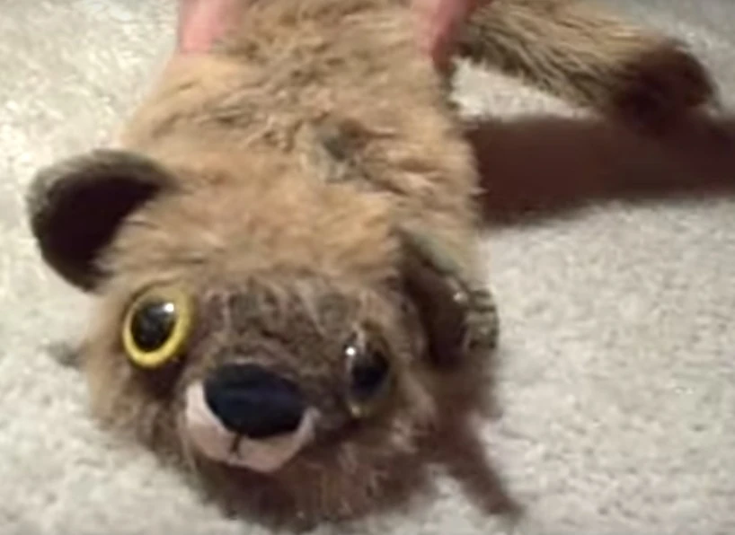 Sally (Animal) | SML Wiki | Fandom