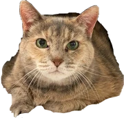 Precious | SML Wiki | Fandom