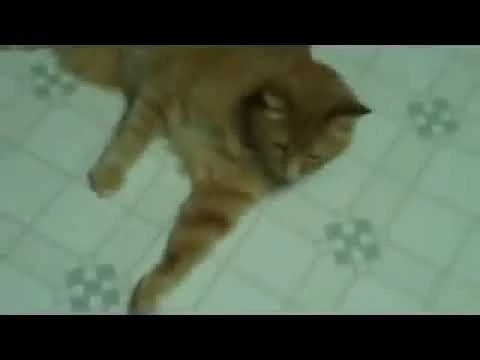 Promises | SML Wiki | Fandom