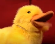 Rose/Gallery | SML Wiki | Fandom