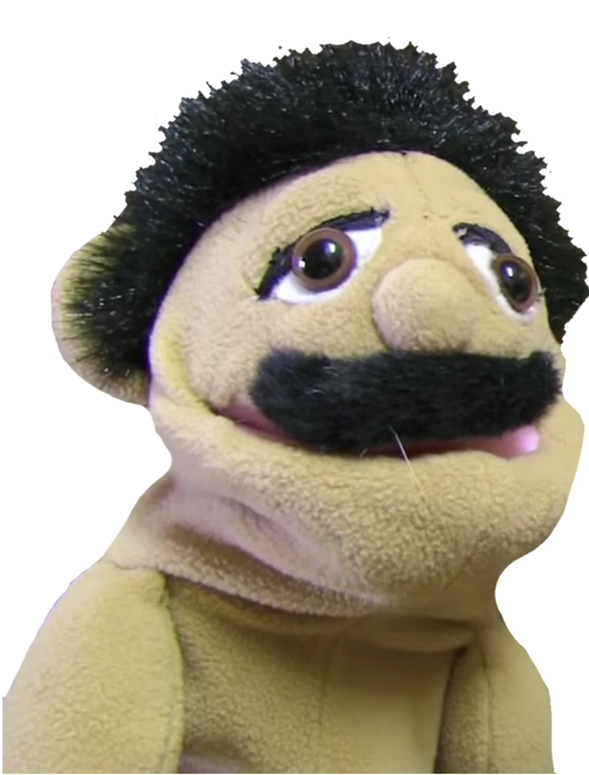 Chef Poo Poo | SuperMarioLogan Wiki | Fandom