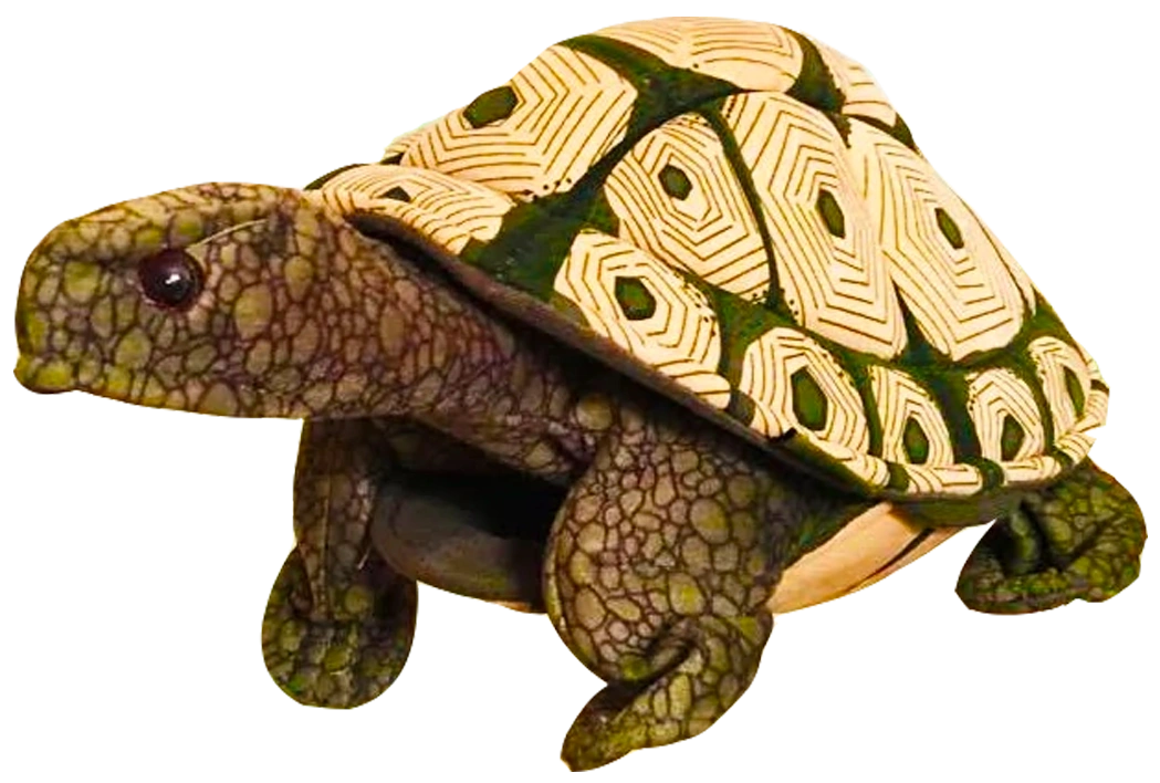 Pee-Wee | SML Wiki | Fandom