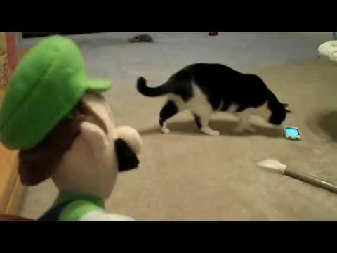 Category:SLL Updates | SML Wiki | Fandom