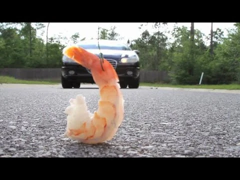 Shrimpo Hunter Episode 3 | SML Wiki | Fandom