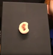 Jacques Pierre François | SML Wiki | Fandom