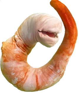 Killer Shrimp | SML Wiki | Fandom