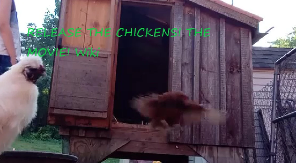 User blog:Wayde2235/RELEASE THE CHICKENS! THE MOVIE! | SML Wiki | Fandom
