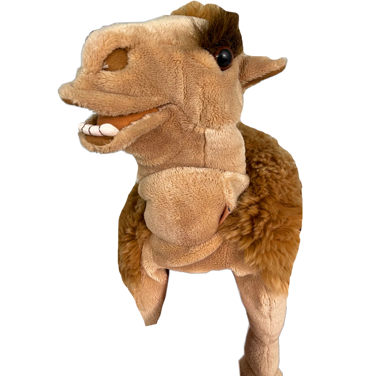 Cameel Habib Habab | SML Wiki | Fandom