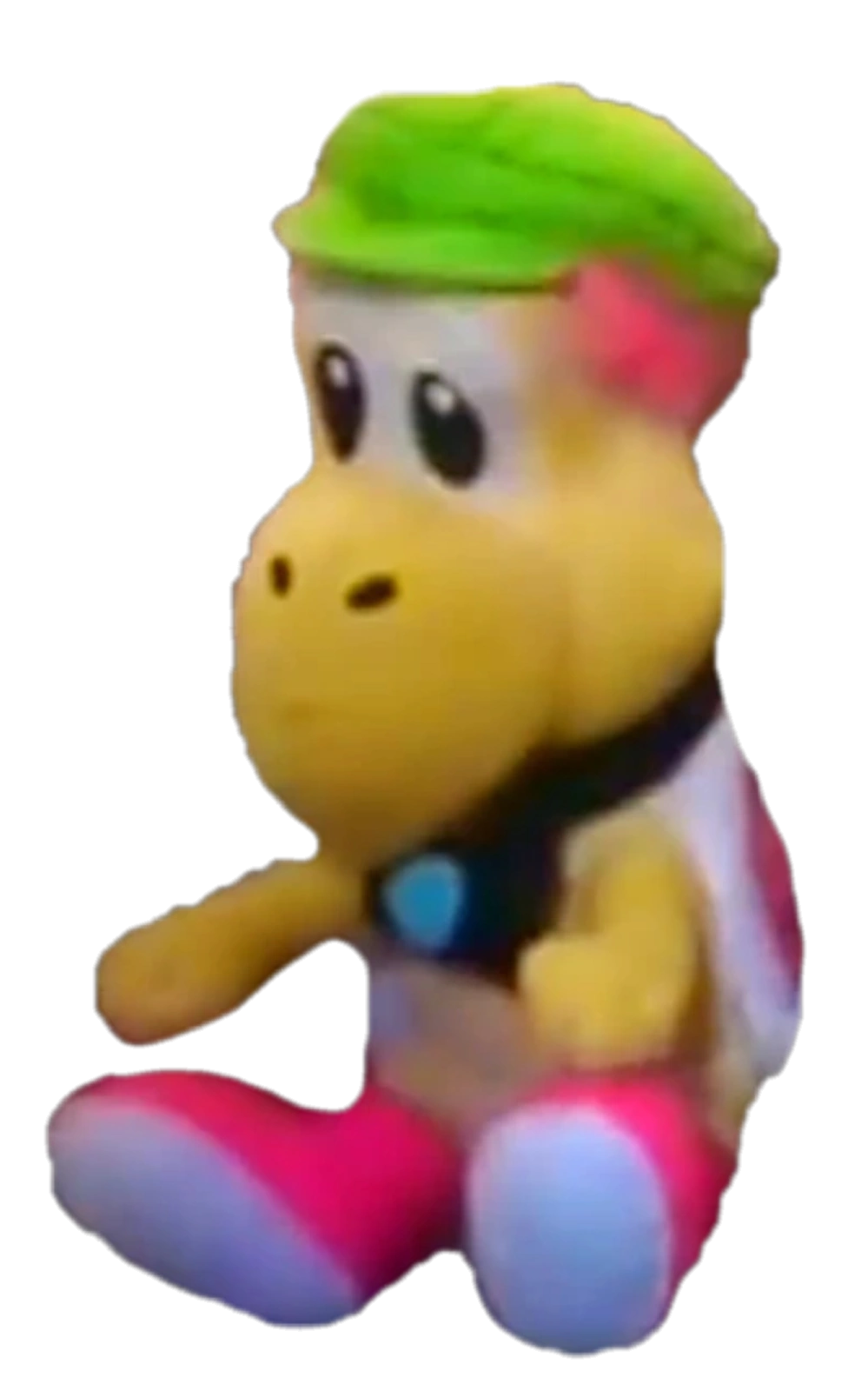 Kylie Koopa | SML Fanon Wiki | Fandom