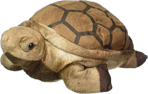 Mr. Tortoise | SML Fanon Wiki | Fandom