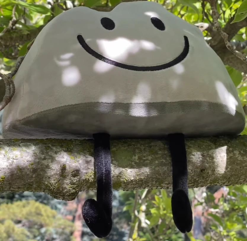 Rocky (BFDI) | SML Fanon Wiki | Fandom