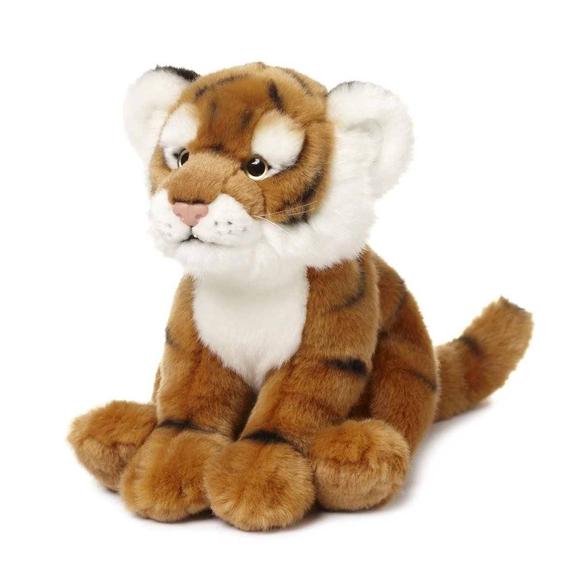 Wisdom | SML Fanon Wiki | Fandom