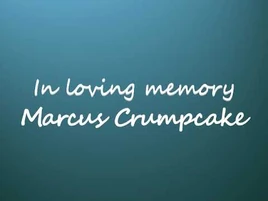 Free_Trial_marcisfuneralvideo50f mov | SMLWiki.com Wiki | Fandom