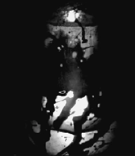 Ortygius | SMLWiki.com Wiki | Fandom