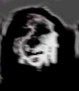 Characters | SMLWiki.com Wiki | Fandom