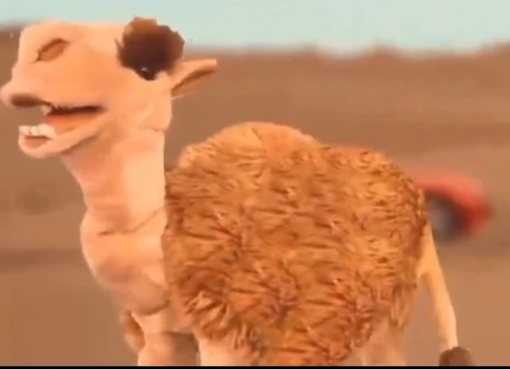 Cameel Habib Habab | SMLWiki.com Wiki | Fandom