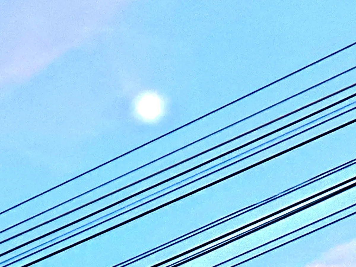 4THOJULIUS | SMLWiki.com Fanon Wiki | Fandom