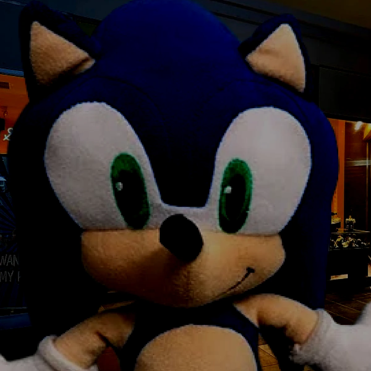 Titototter Sonic | SMLWiki.com Fanon Wiki | Fandom