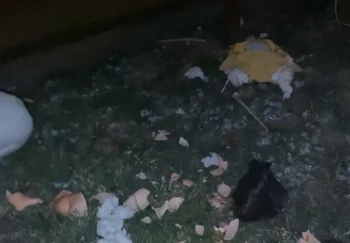 Haunted Doll | SMLYTP Wiki | Fandom