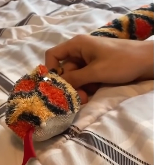 Wormy | SMLYTP Wiki | Fandom