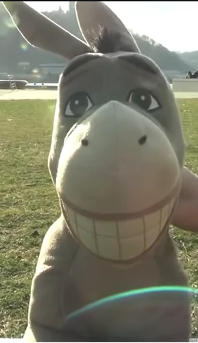 Donkey | SMLYTP Wiki | Fandom